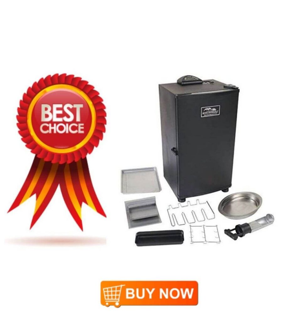 Best Digital Electric Smoker Reviews to Buy in 2020